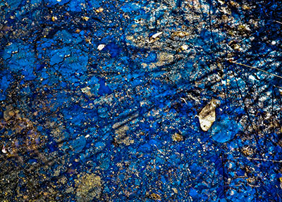 Friends Of Valkenberg Trust Benefit at Escap3 Gallery | Art.co.za Art ...