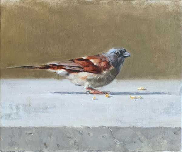 Jaco Benade Fleeting Moments 2021 | Art.co.za | Art in South Africa